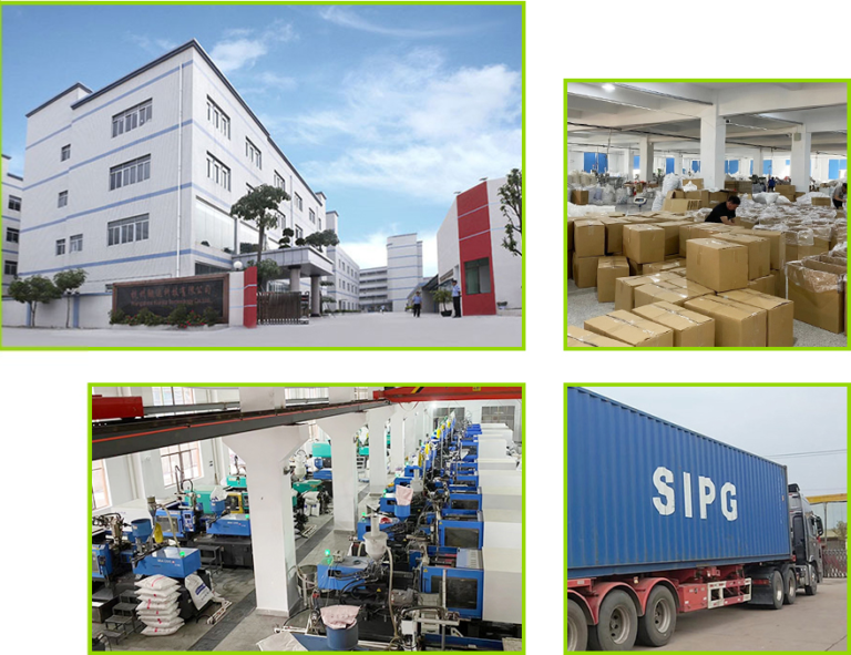 Leading Manufacturer of Pest Control Products in China