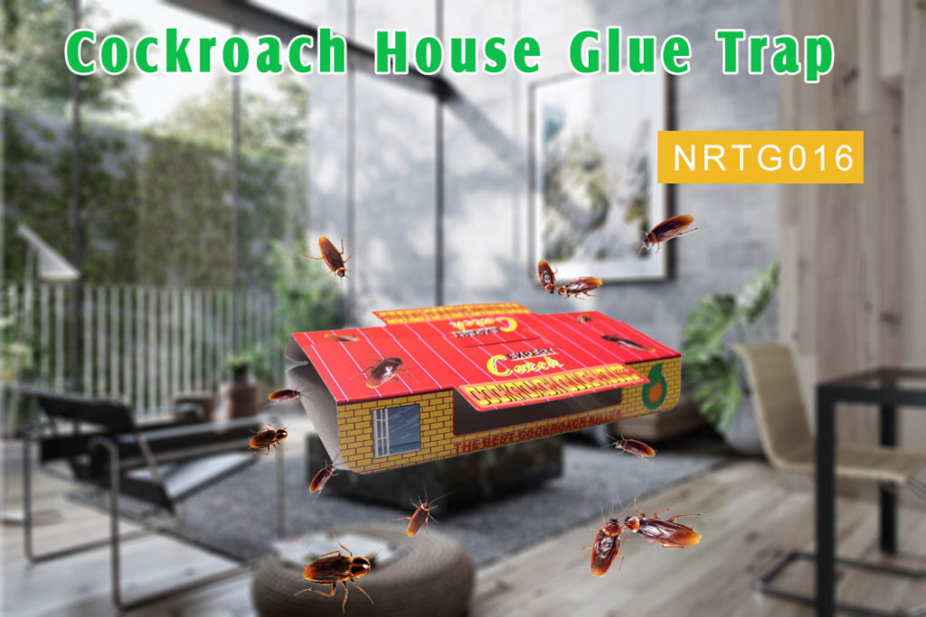 Cockroach House Glue Trap-NRTG016